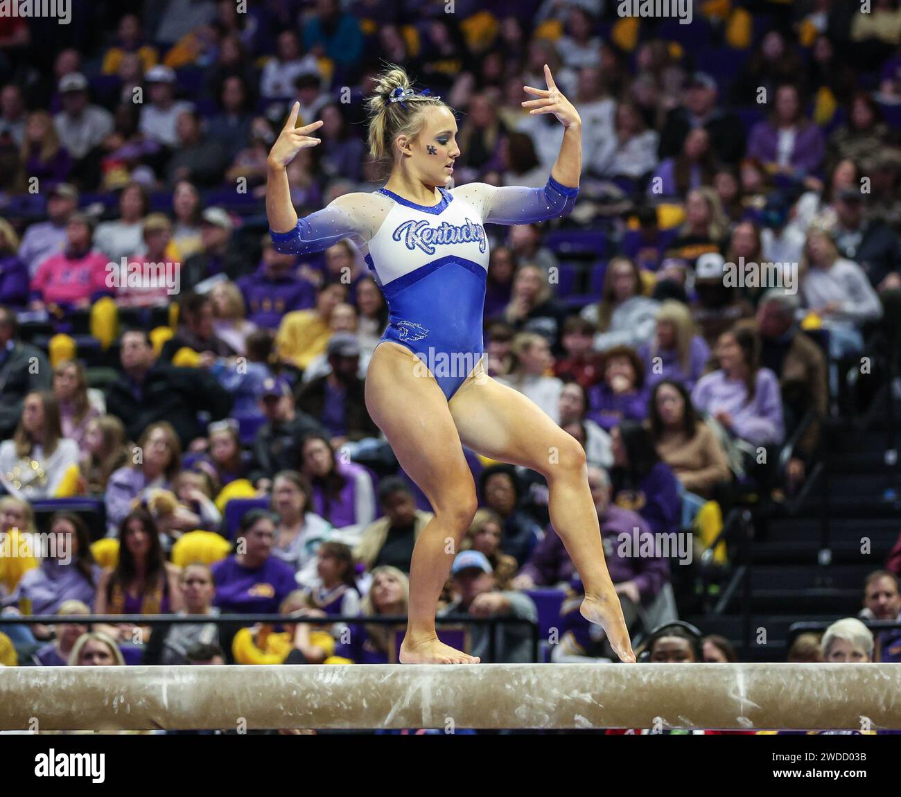 Baton Rouge, LA, USA. 19th Jan, 2024. Kentucky's Raena Worley competes ...
