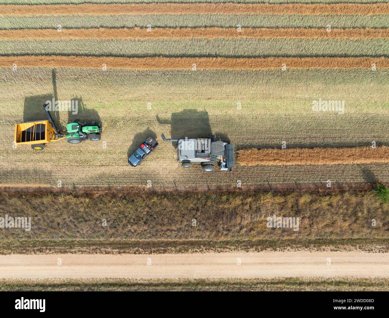 Aerial view of a harvester and farm vehicles working in a field at ...