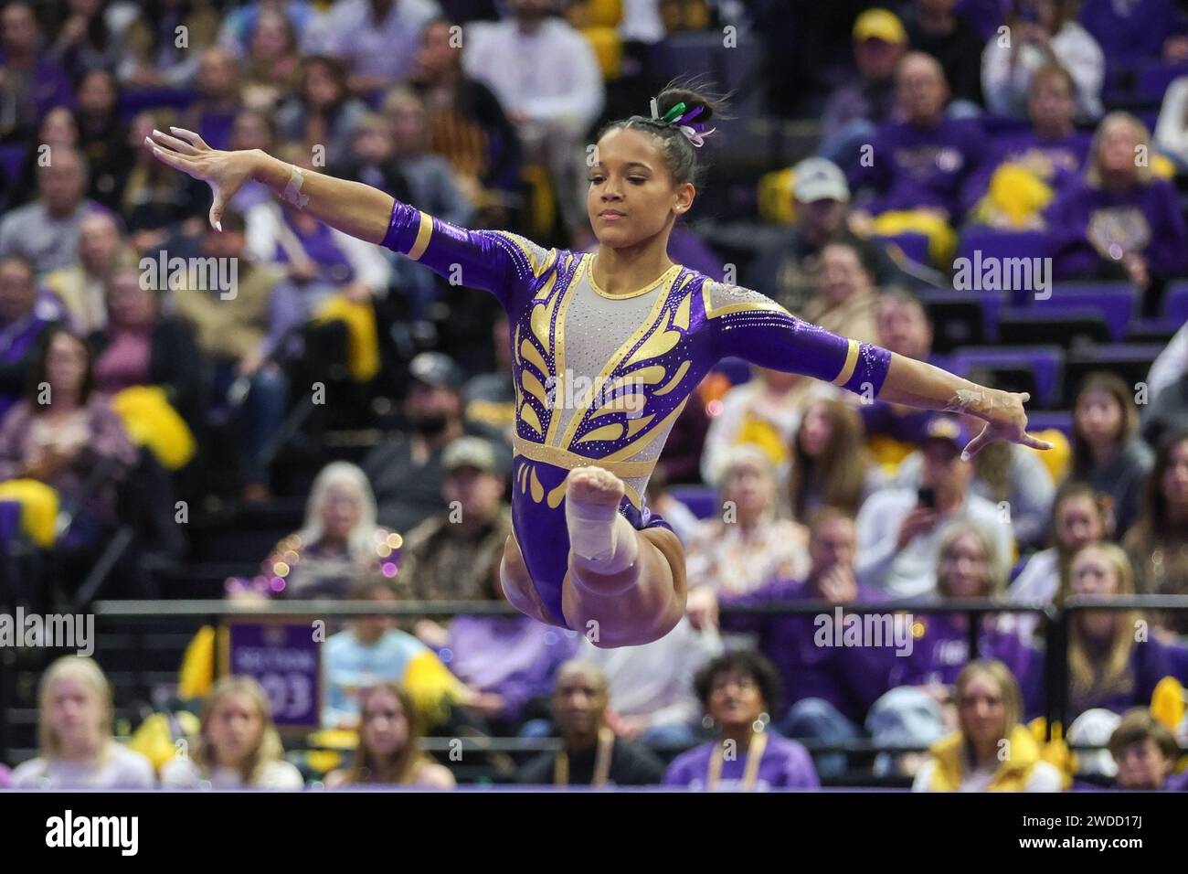 Baton Rouge, LA, USA. 19th Jan, 2024. LSU's Haleigh Bryant competes on ...