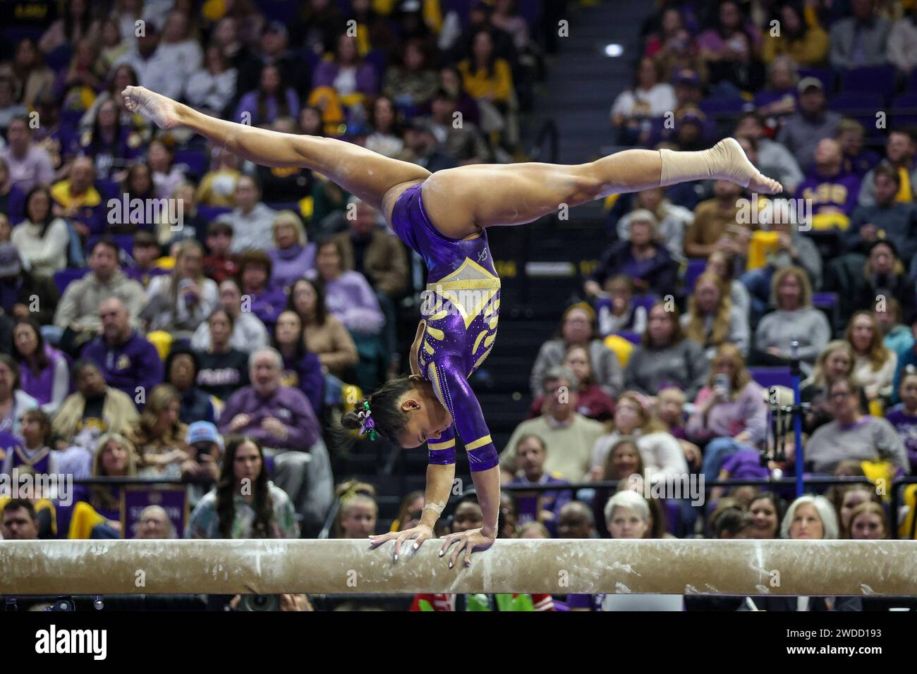 Baton Rouge, LA, USA. 19th Jan, 2024. LSU's Haleigh Bryant performs on ...