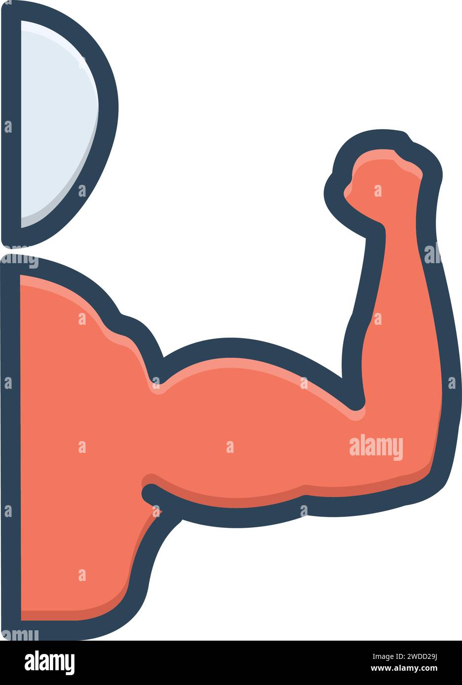 Sinew Cut Out Stock Images & Pictures - Alamy