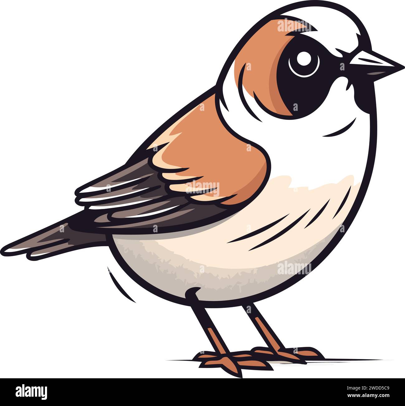 The chaffinch Stock Vector Images - Alamy