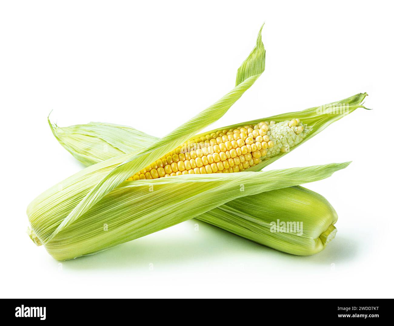 natural sweetcorn isolated white background Stock Photo - Alamy