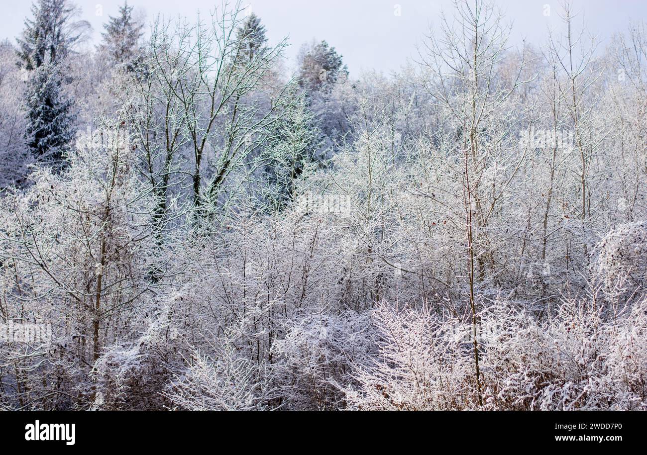 After night heavy snow hi-res stock photography and images - Alamy