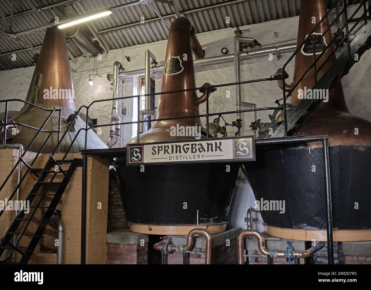 Copper Pot Stills at the Springbank Distillery, Campbeltown, Kintyre ...