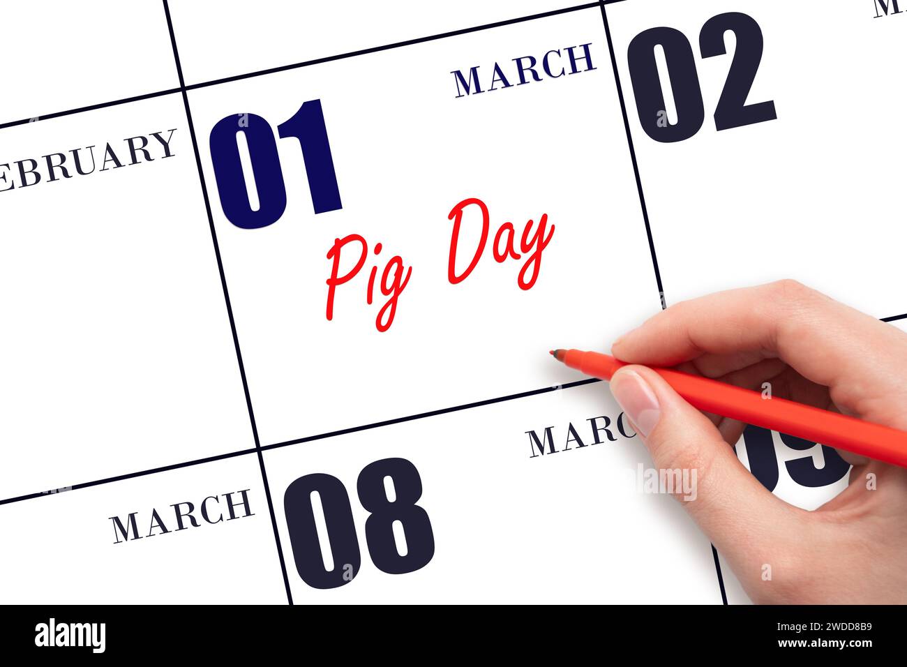 March 1. Hand writing text Pig Day on calendar date. Save the date ...