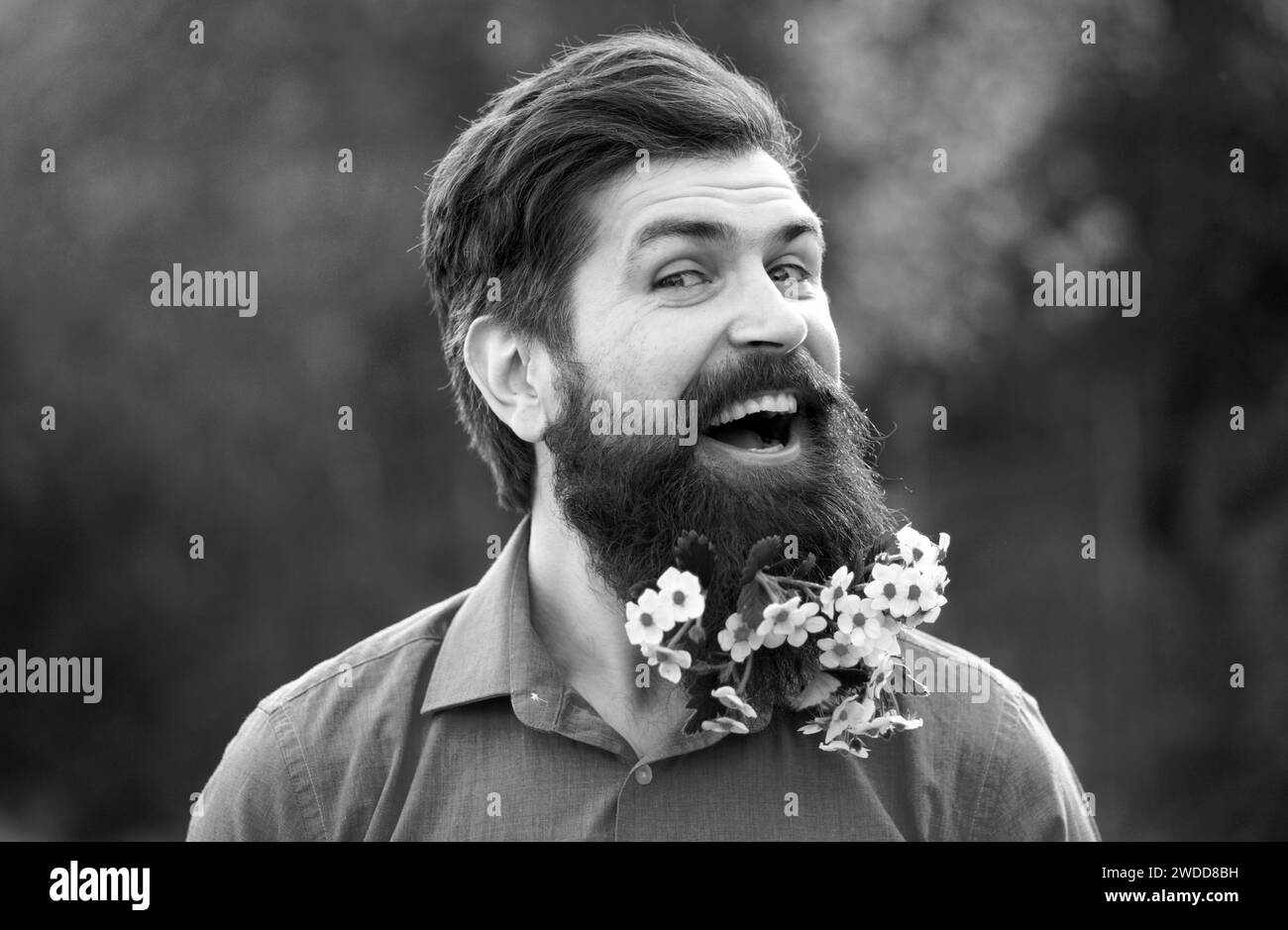 Funny blossom beard spring hi-res stock photography and images - Alamy