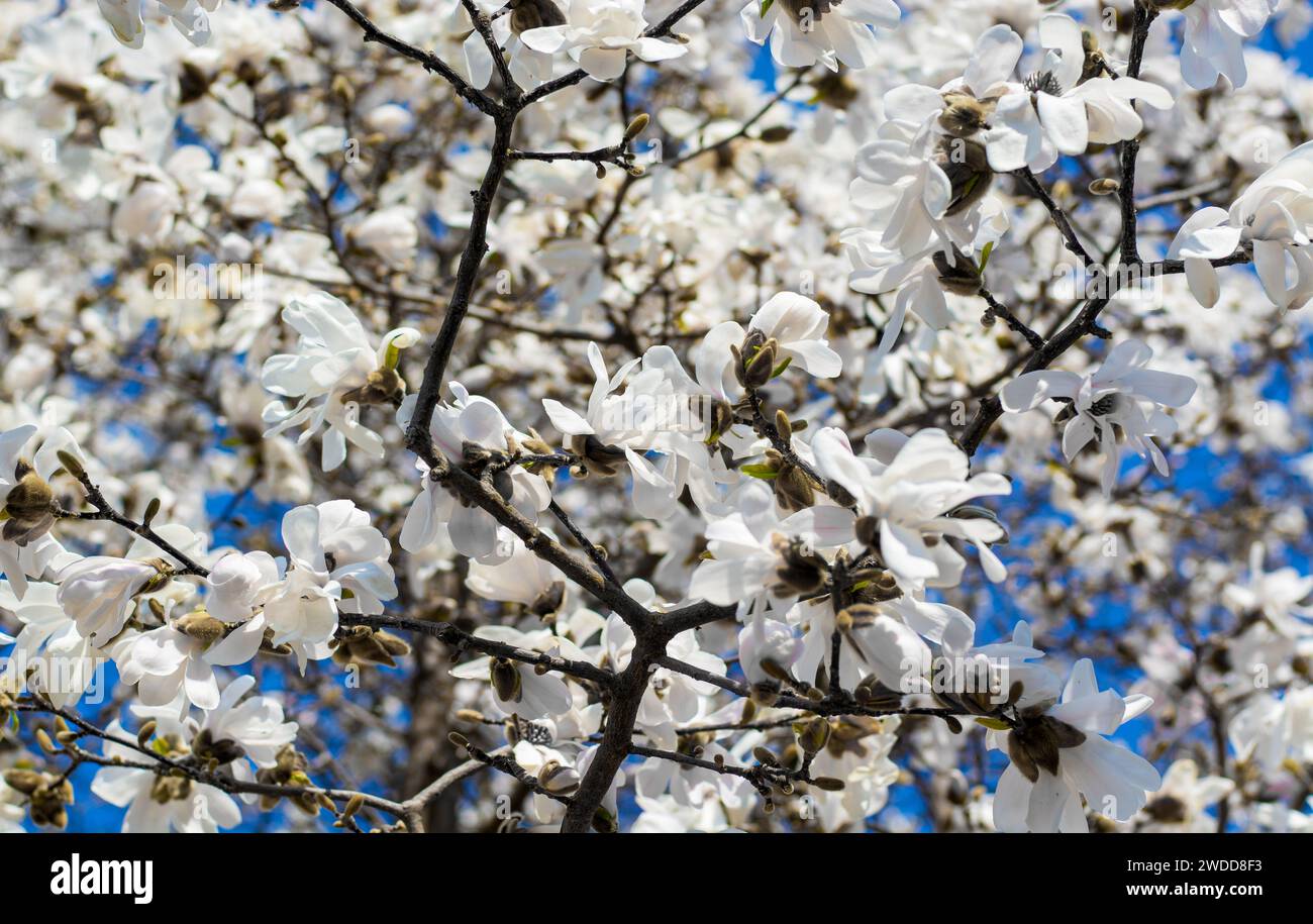 Arrives fresh hi-res stock photography and images - Alamy