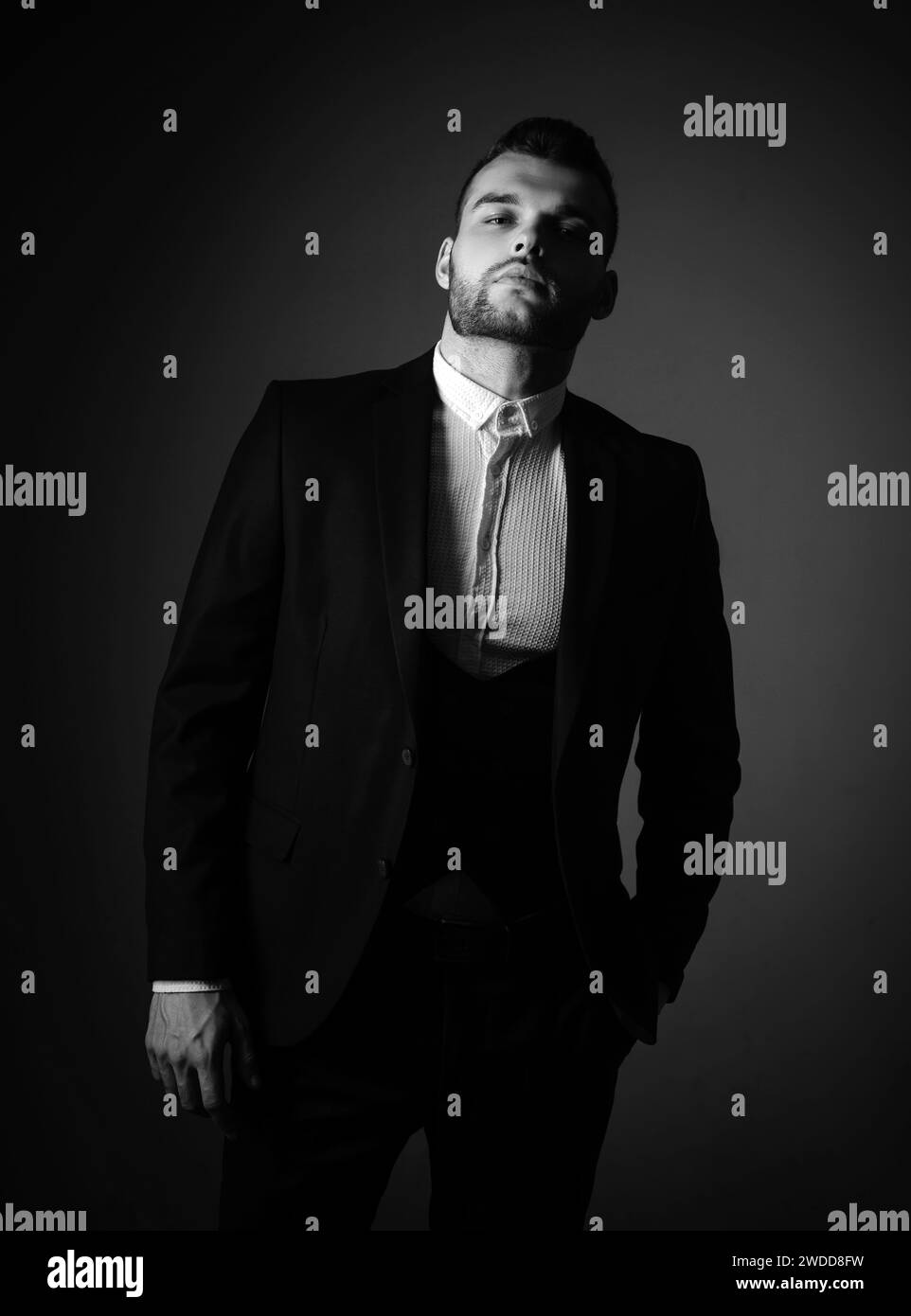 Metrosexual. Elegant man in suit. Modern man in rormal suit. male ...