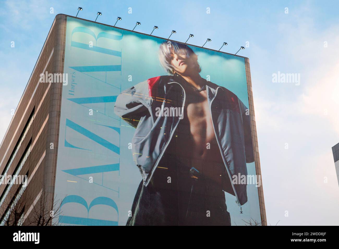 Harpers bazaar korea hi-res stock photography and images - Alamy