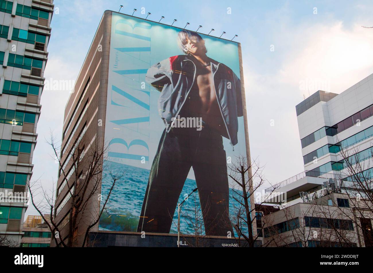Harpers bazaar korea hi-res stock photography and images - Alamy