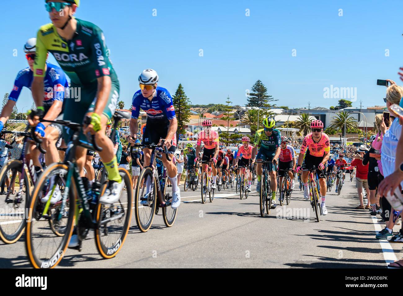 Adelaide, South Australia - January 20, 2024: Santos Tour Down Under ...