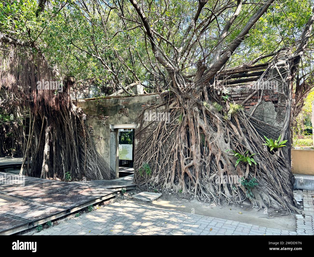 The famous landmark Anping Tree House in Tainan, Taiwan Stock Photo - Alamy