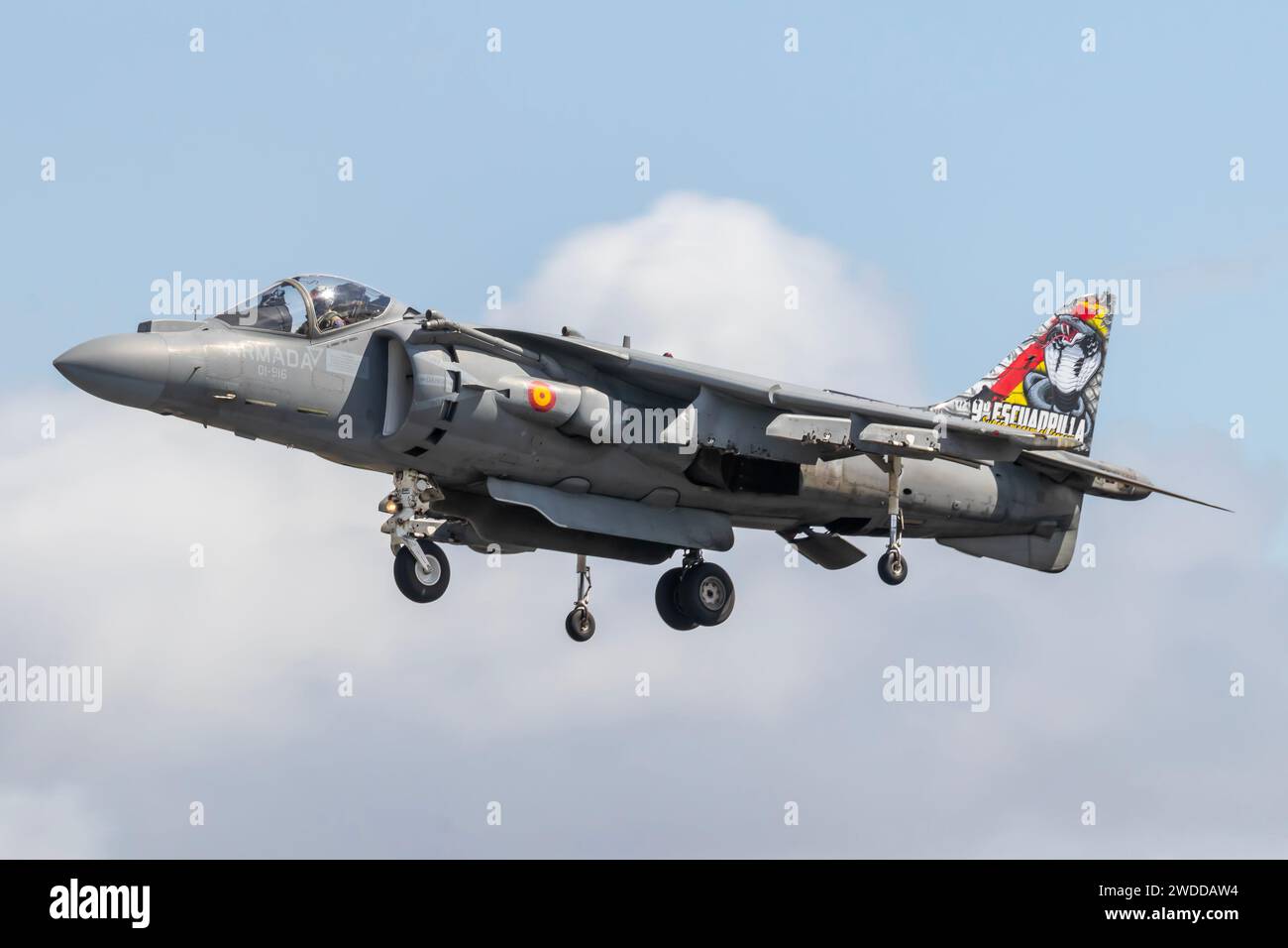 Spain Air Force Harrier in VTOL Stock Photo - Alamy