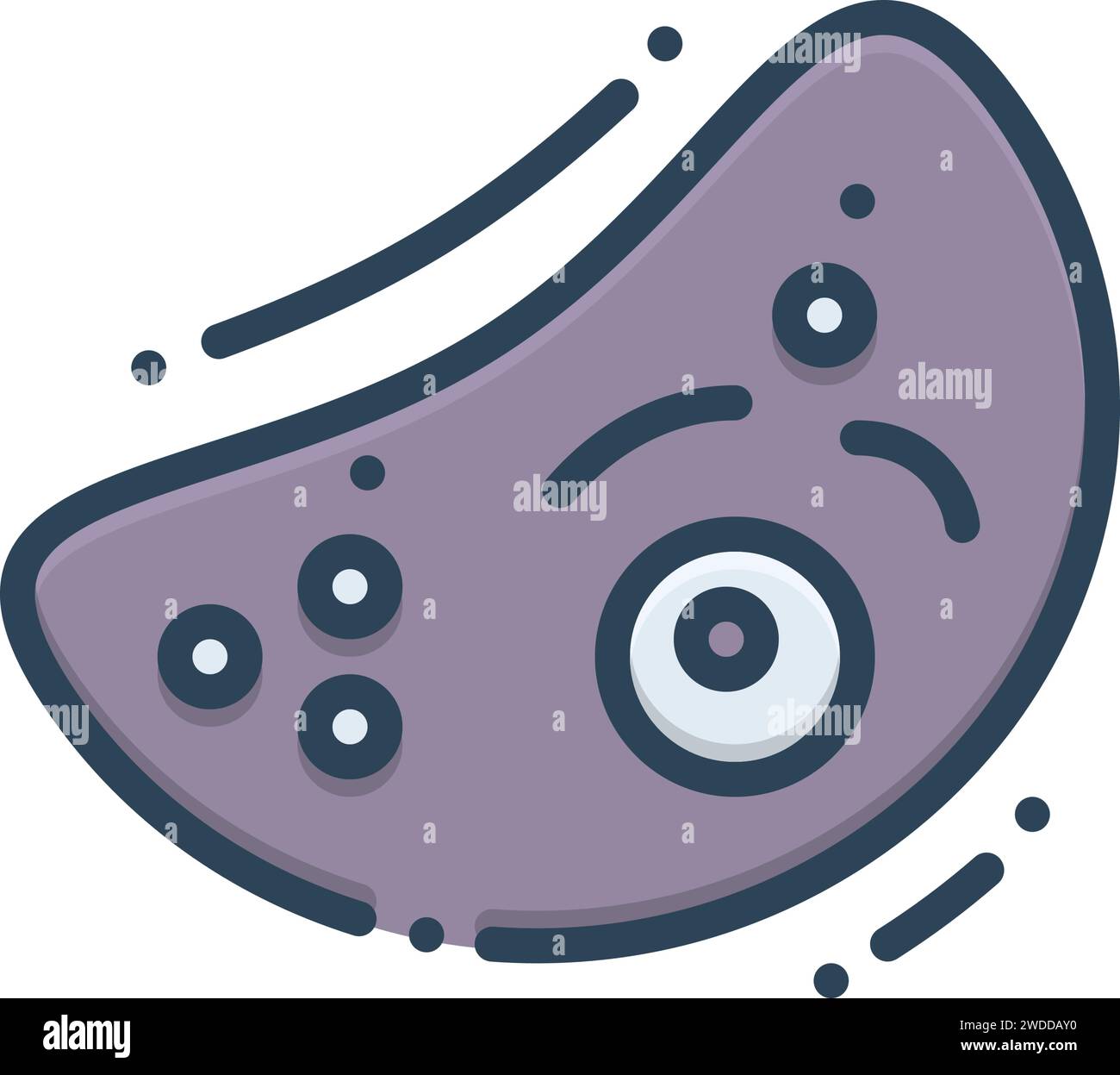 Icon for cell eukaryote Stock Vector Image & Art - Alamy