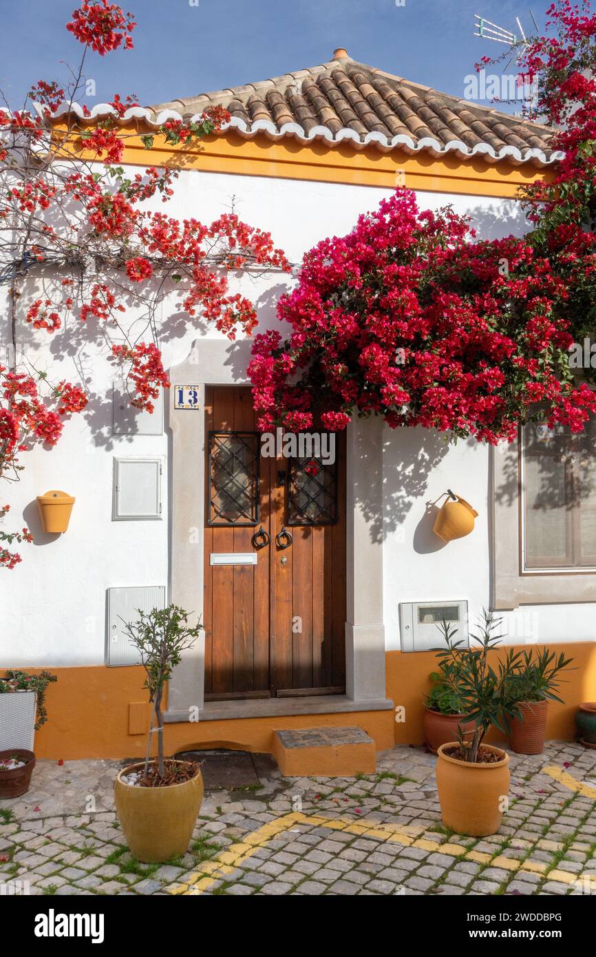 Traditional White Algarve Home In Tavira With Red Bougainvillea Plant ...