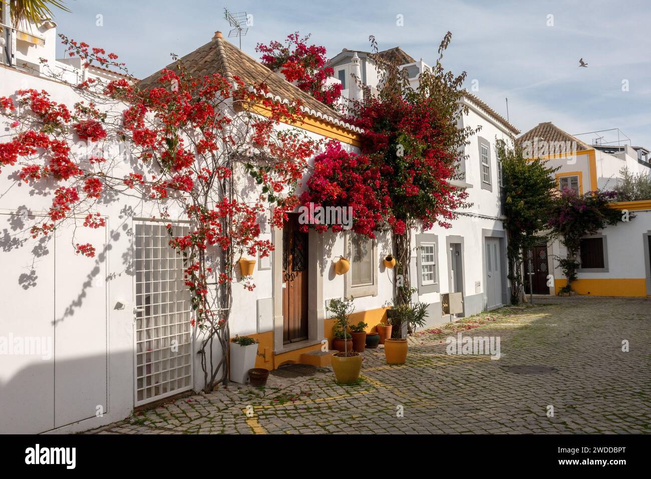 Traditional Portuguse Algarve House With Red Flowering Vines At The ...