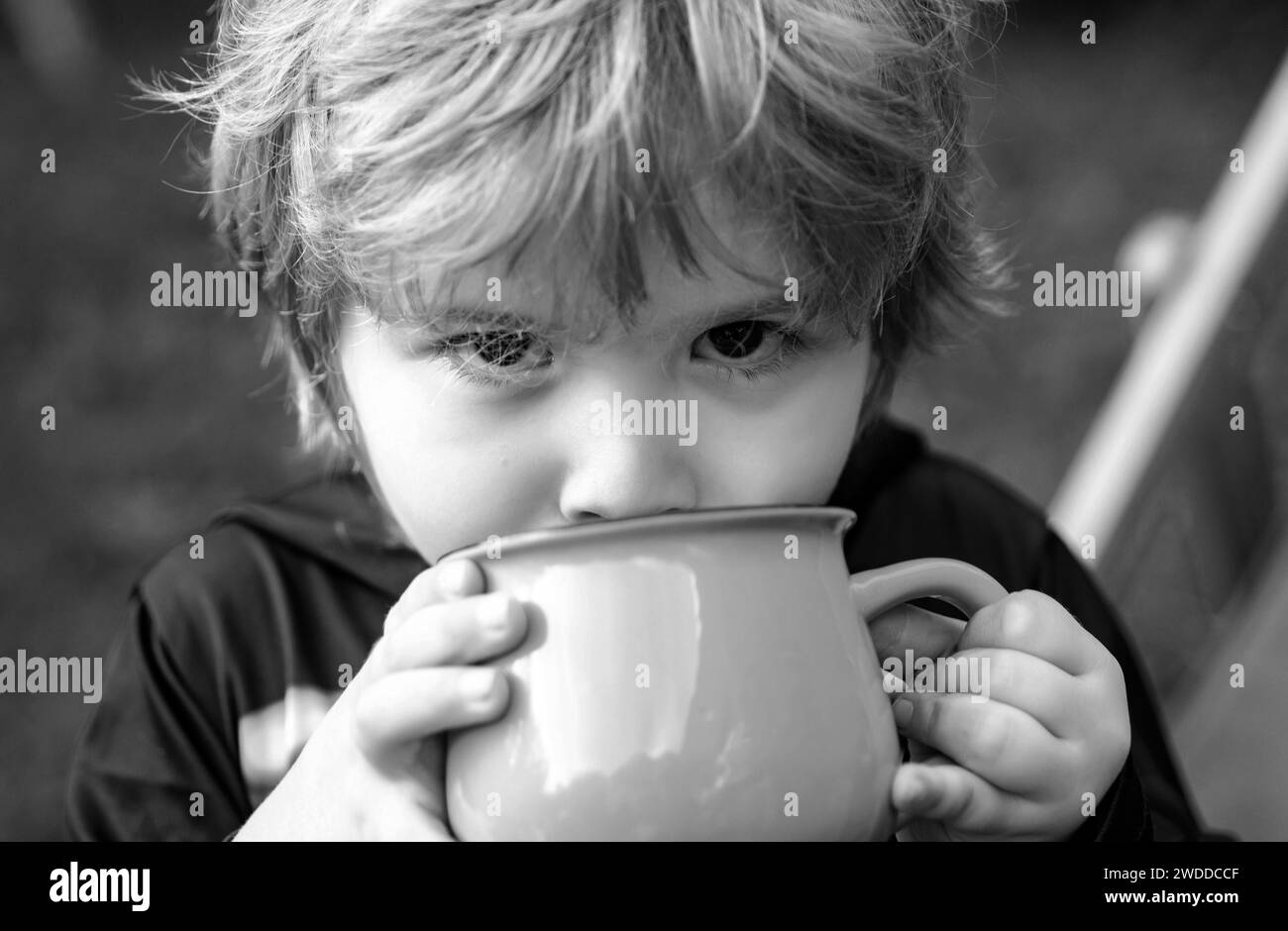 Boy drinking something. Little child have fun on fresh air. Portrait of ...