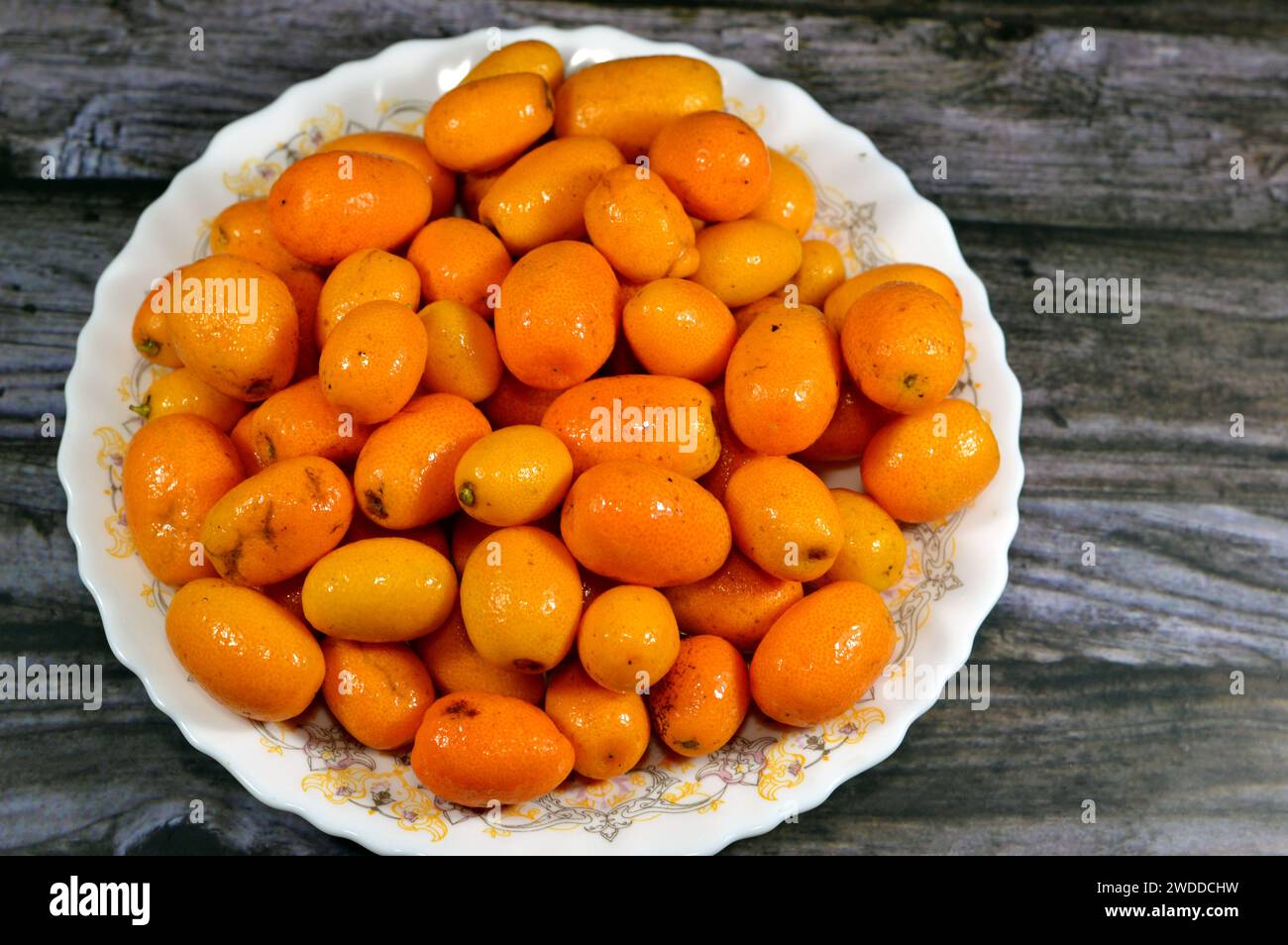 Kumquats, cumquats, a group of small, angiosperm, fruit-bearing trees ...