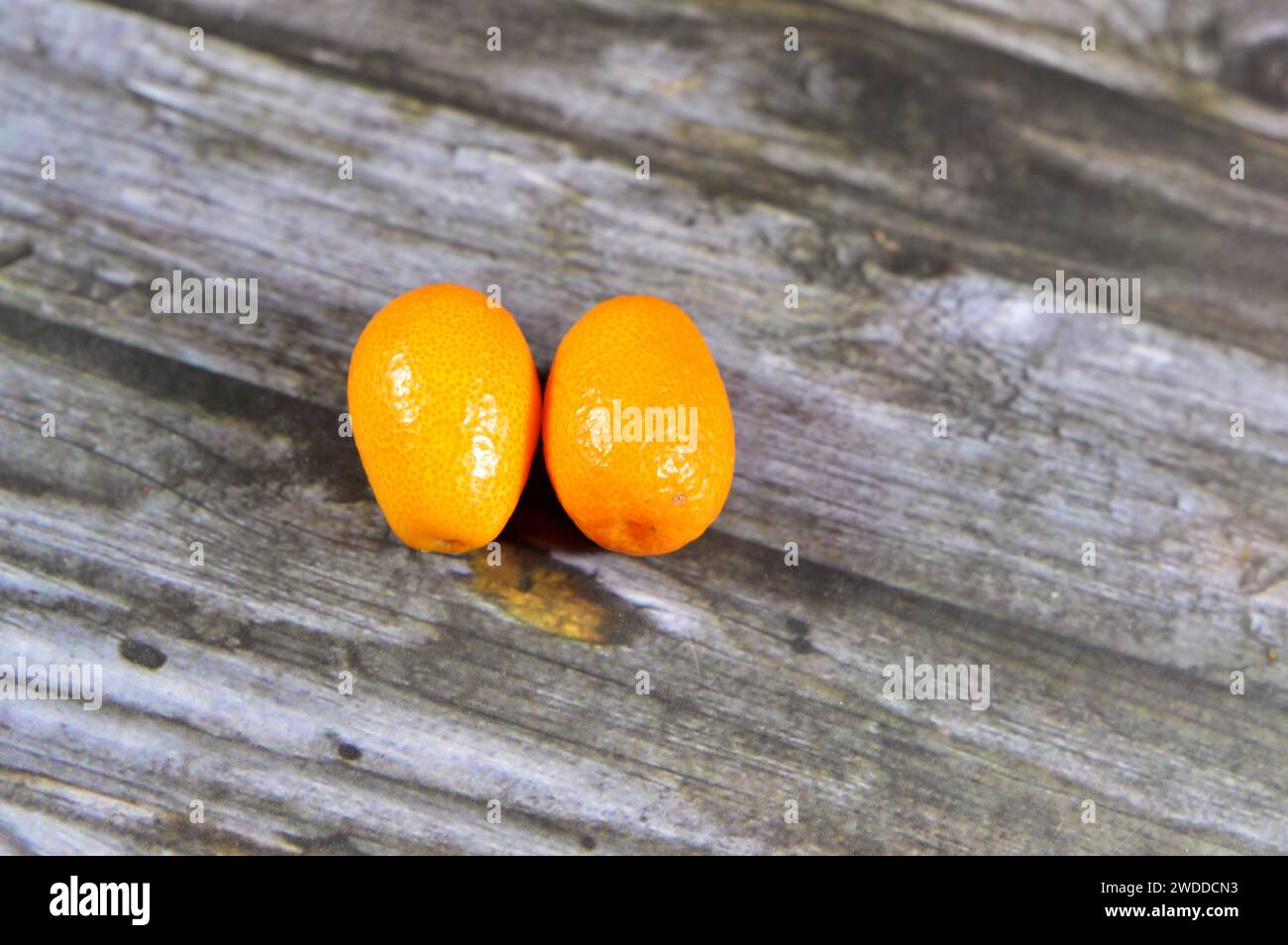Kumquats, cumquats, a group of small, angiosperm, fruit-bearing trees ...