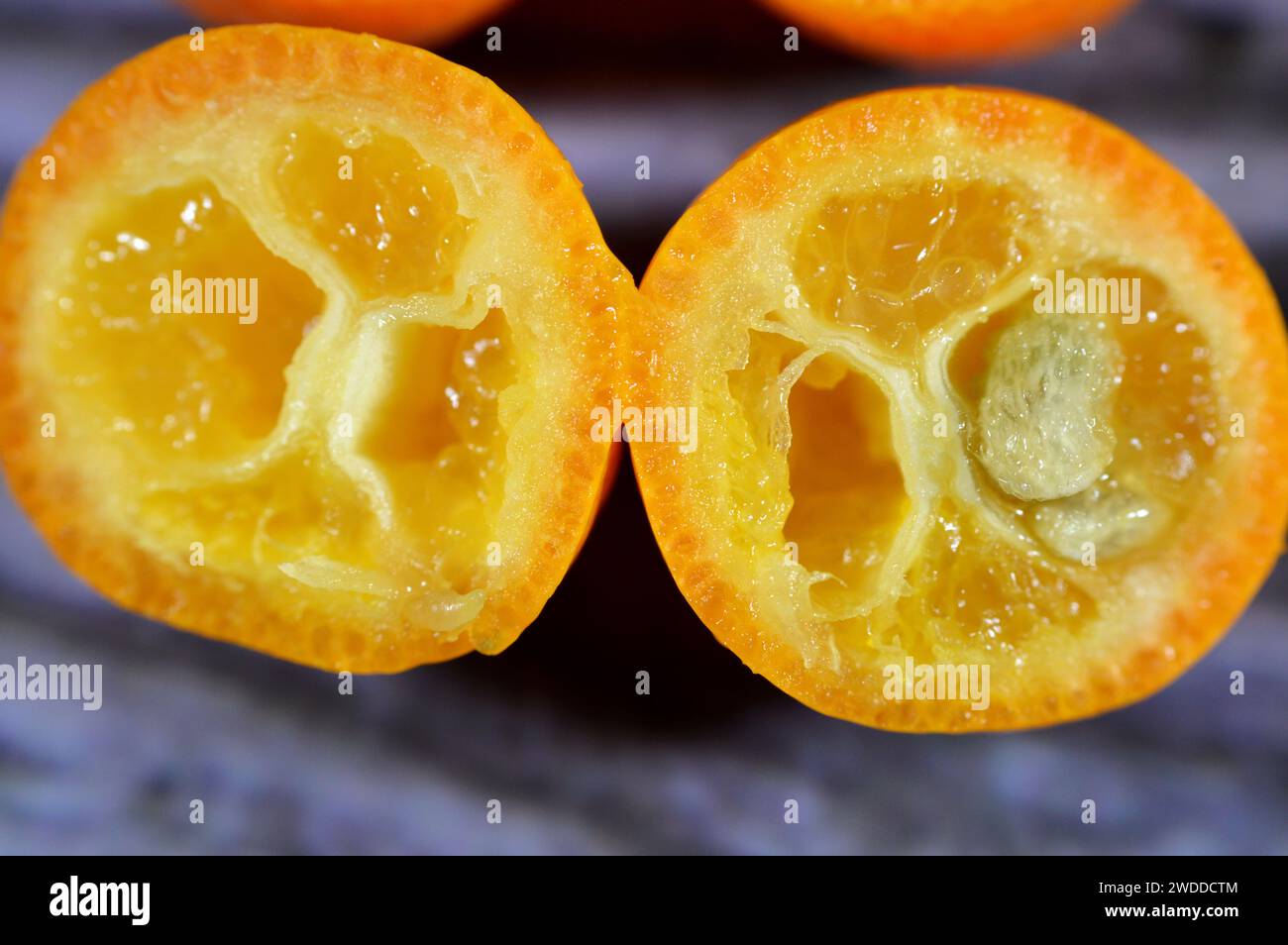 Kumquats, cumquats, a group of small, angiosperm, fruit-bearing trees ...