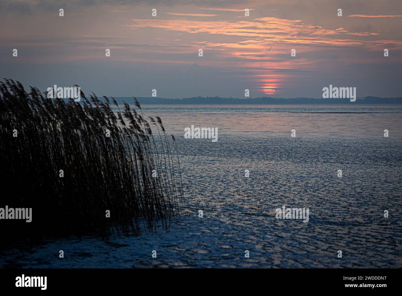 Steinhuder meer and winter hi-res stock photography and images - Alamy