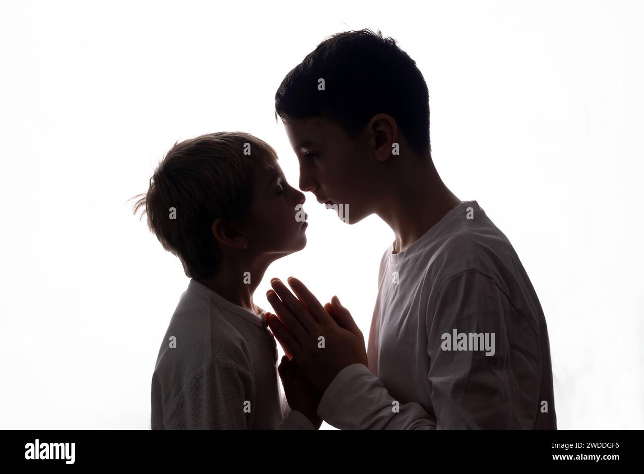 Isolated portrait on white background of siblings in studio, boys ...