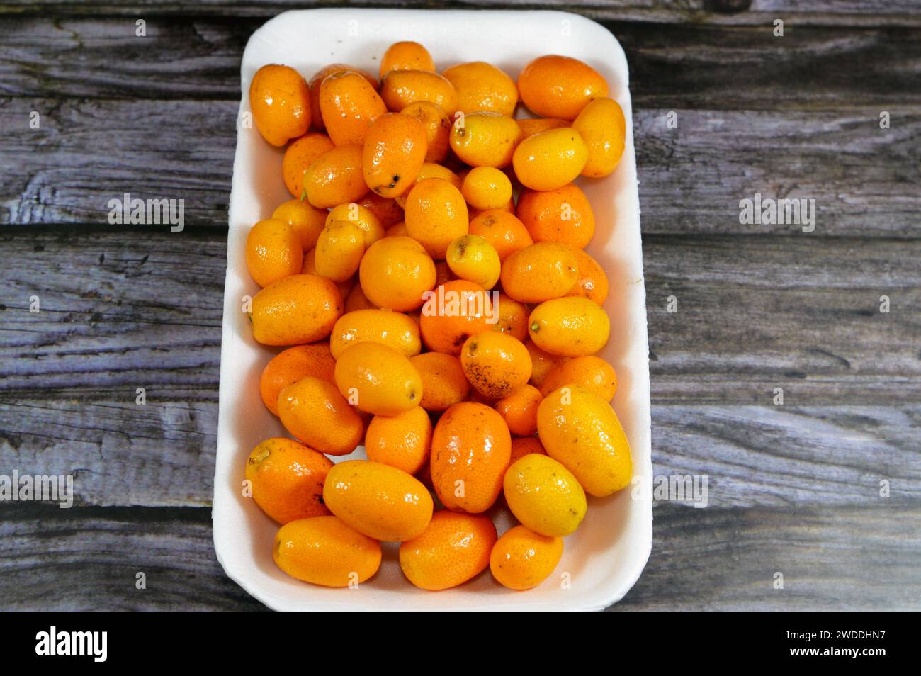 Kumquats, cumquats, a group of small, angiosperm, fruit-bearing trees ...