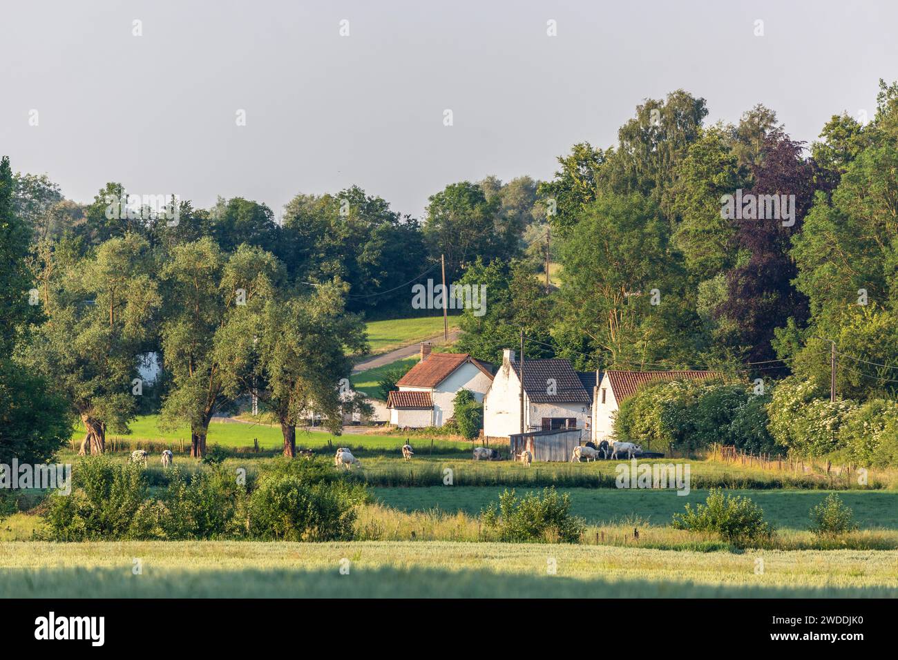 White houses of a hamlet in a rural environment in spring Stock Photo ...