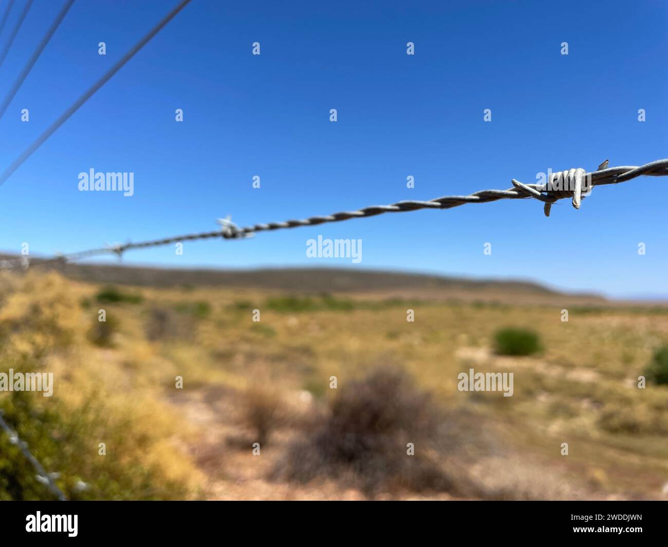 barbed wire fence in the outback of South Africa Stock Photo - Alamy
