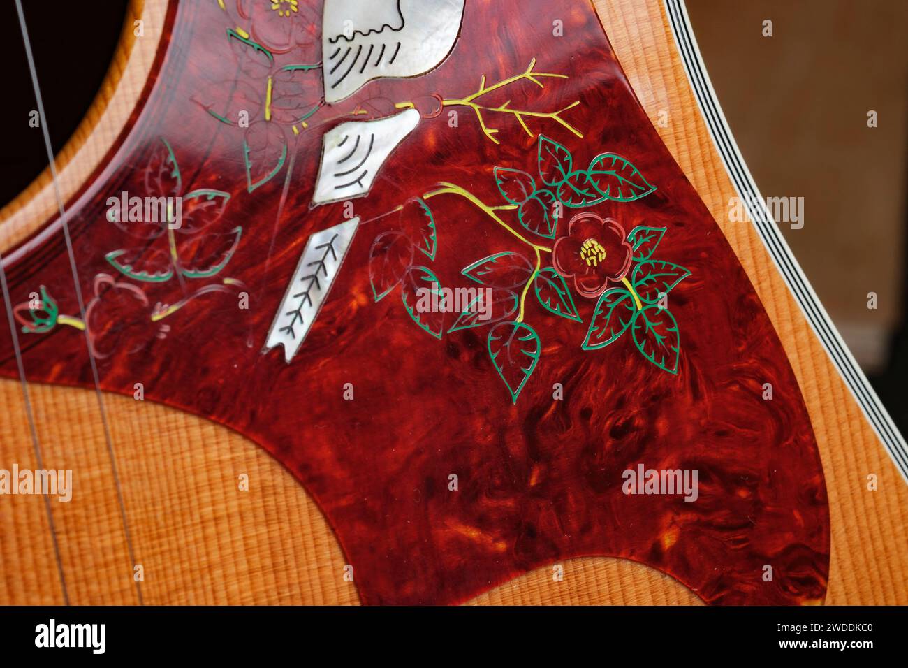 Acoustic guitar scratchplate Stock Photo - Alamy