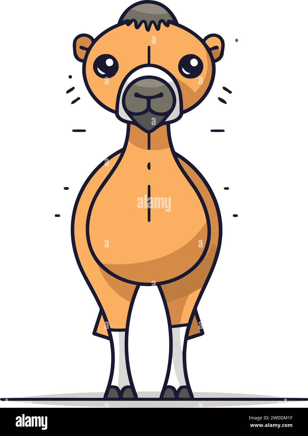 Camel cute hi-res stock photography and images - Alamy