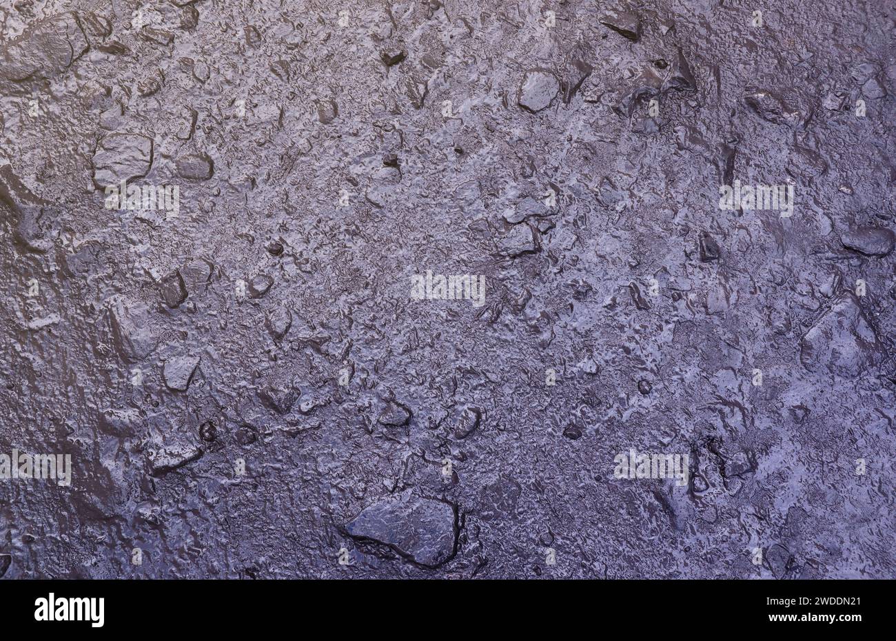 Rain soaked soil hi-res stock photography and images - Alamy