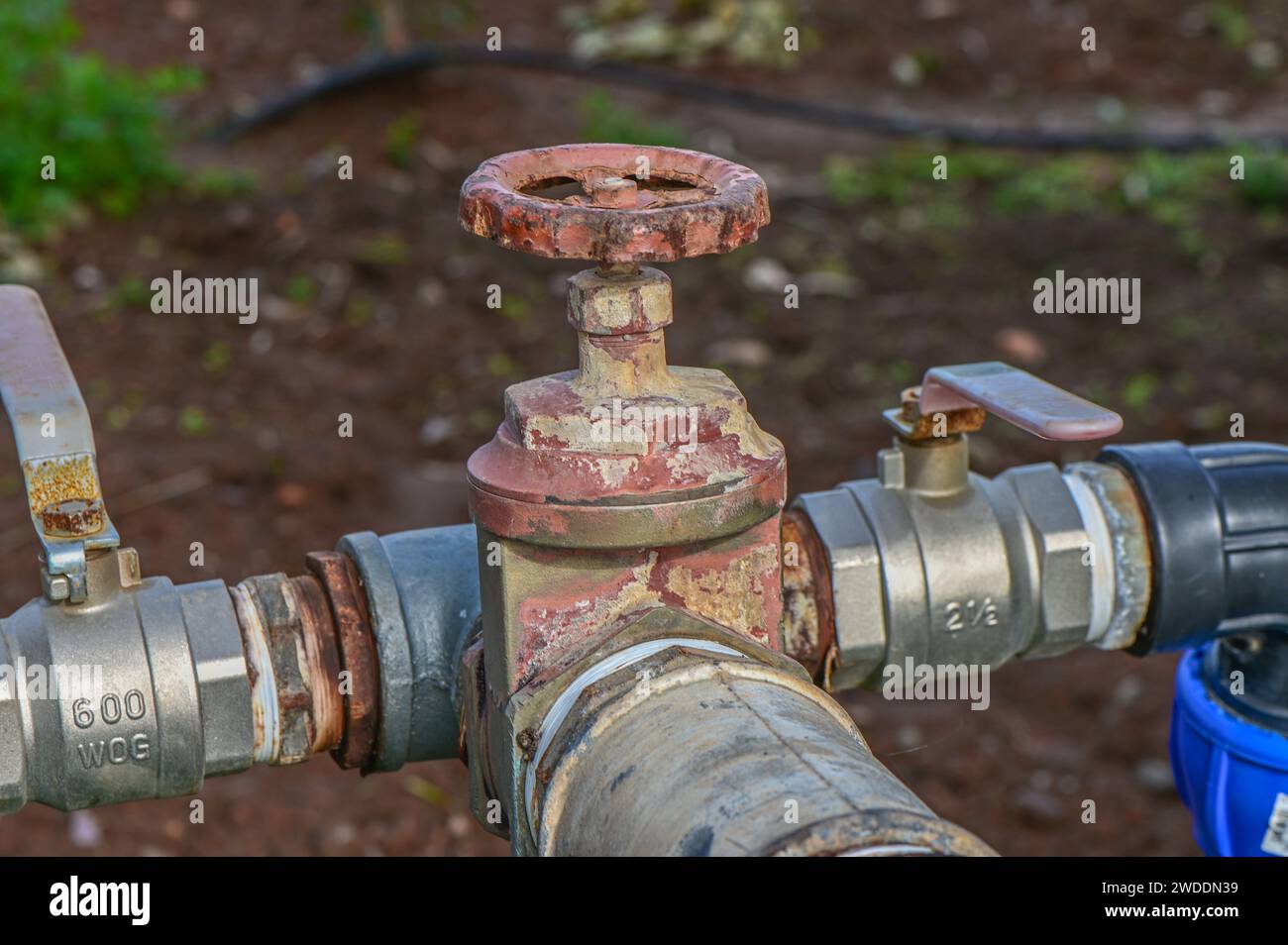 brass valve on an irrigation field in the village 2 Stock Photo - Alamy