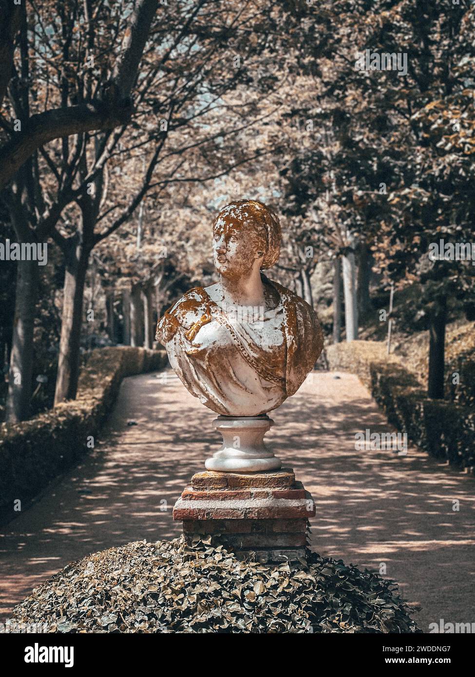 A vintage bust sculpture placed on a sturdy cement pedestal amidst a ...