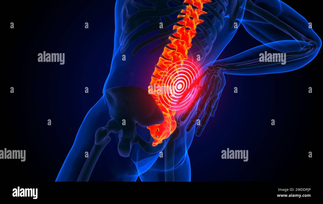 Human skeleton spine pain anatomy for medical concept 3D illustration ...
