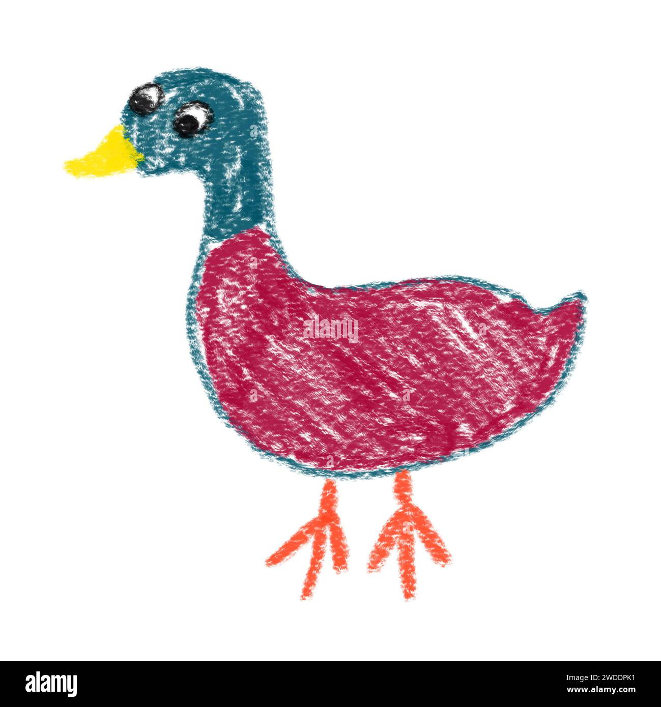 Hand-drawn simple colorful duck on white background. Kid's drawings ...