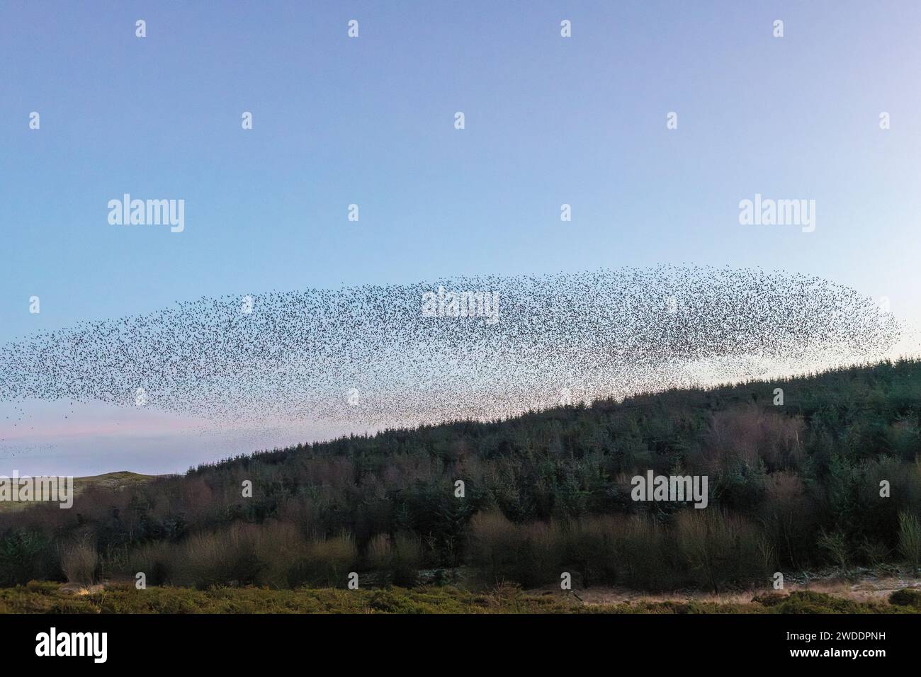 Llandegley rhos hi-res stock photography and images - Alamy