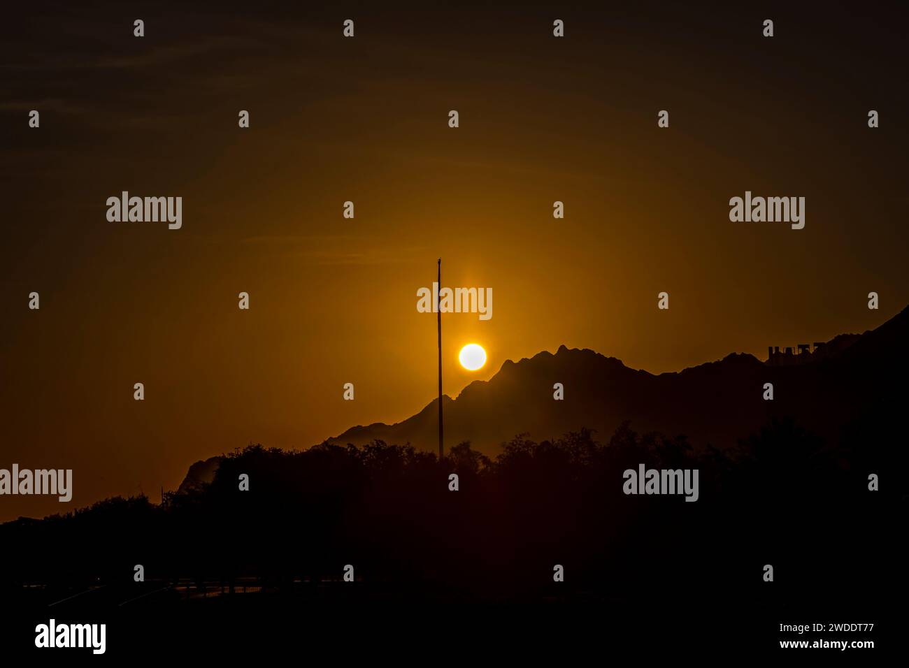 Trees and plants blossom during sunrise from Hatta Farm in Dubai Stock ...