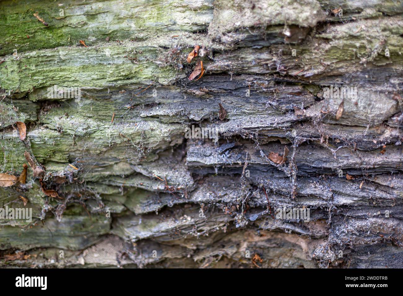 A wall of aged weather-beaten stones of shale in green and gray with ...
