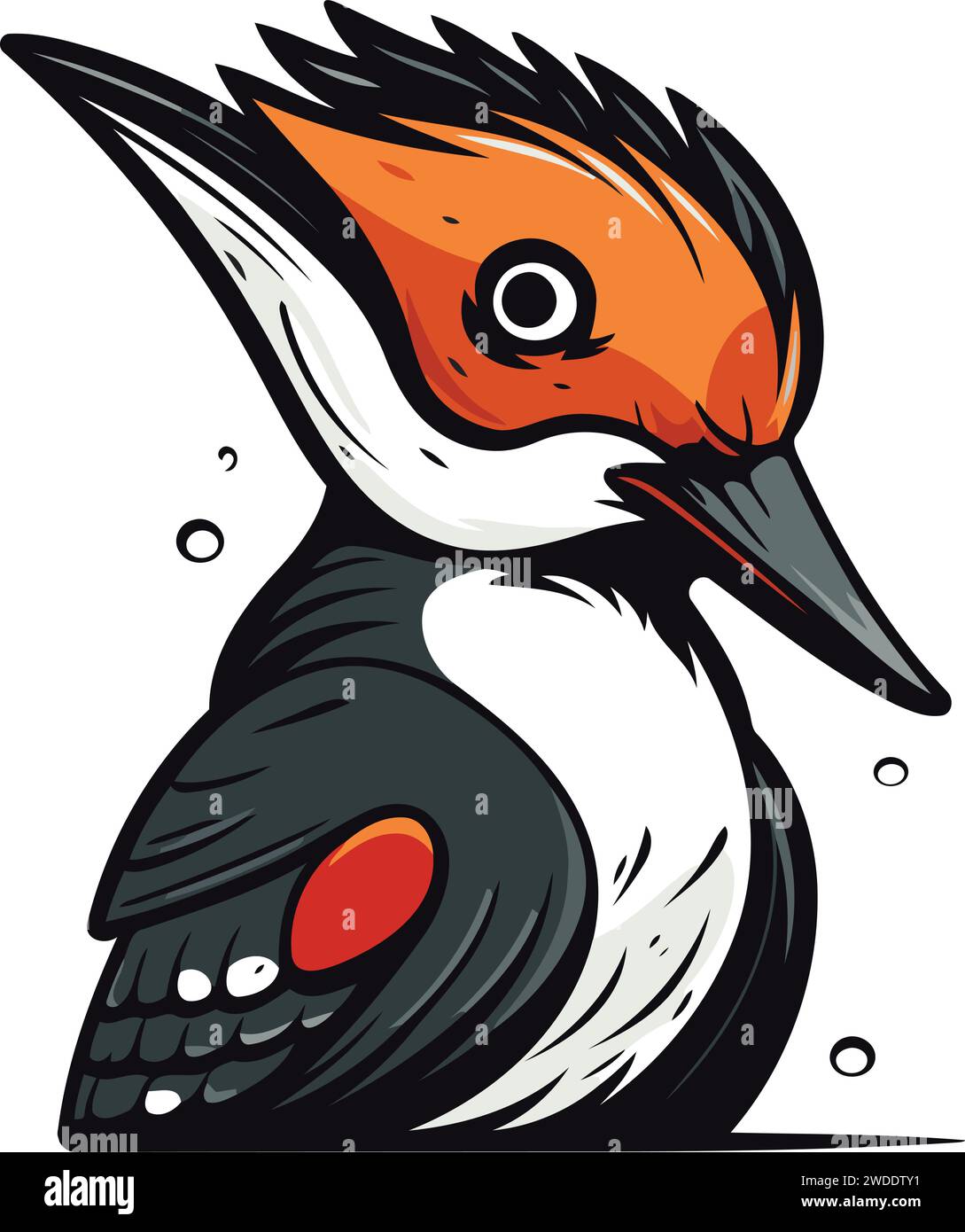 Great crested grebe Stock Vector Images - Alamy