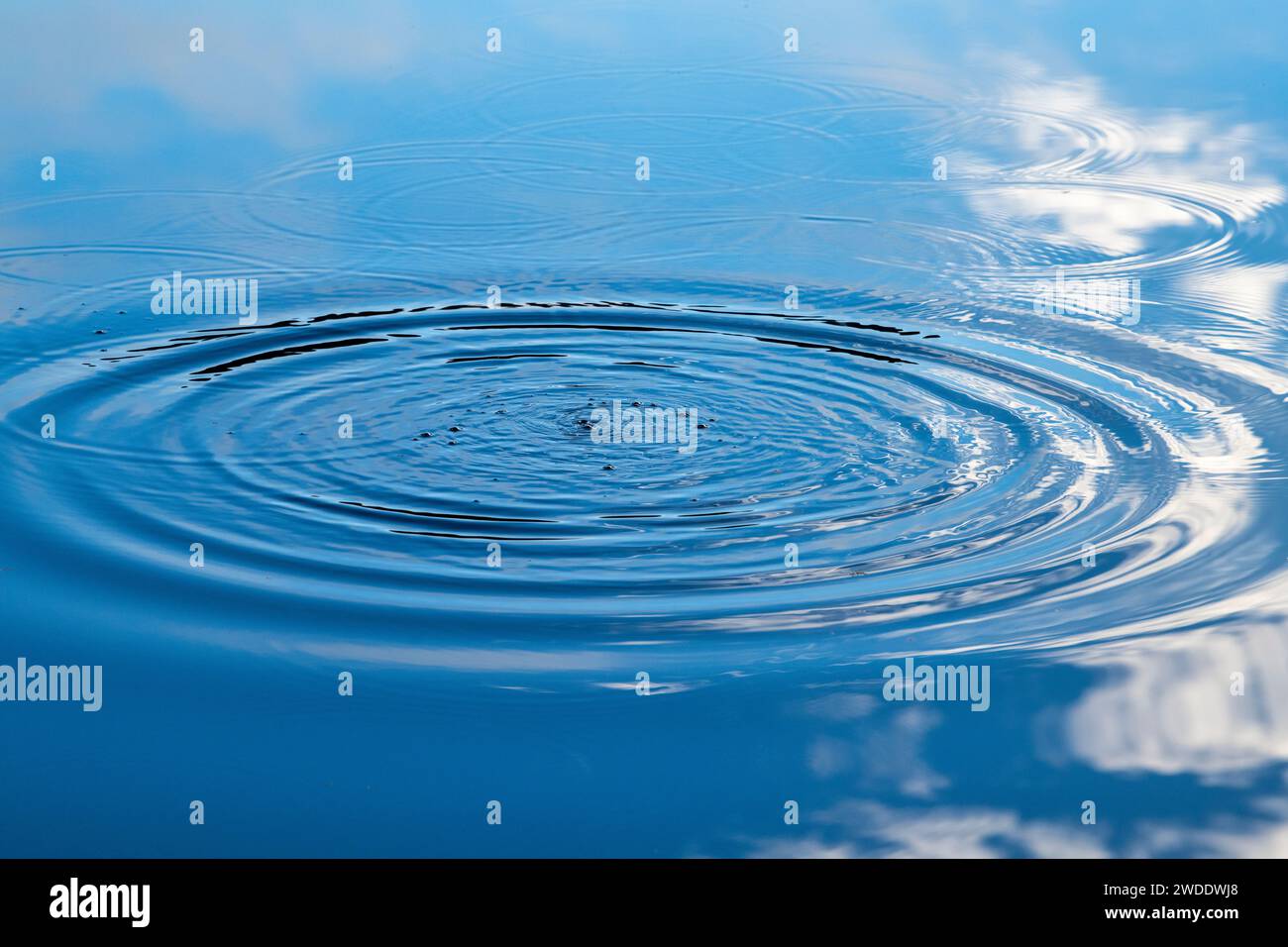 Water ripples on still hi-res stock photography and images - Alamy