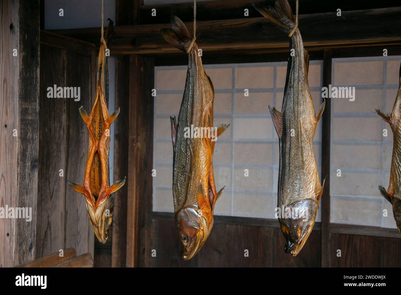 Traditional salted salmons hanging in the city of Murakami in Niigata ...