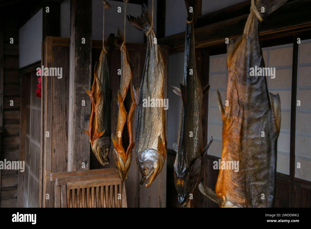 Traditional salted salmons hanging in the city of Murakami in Niigata ...