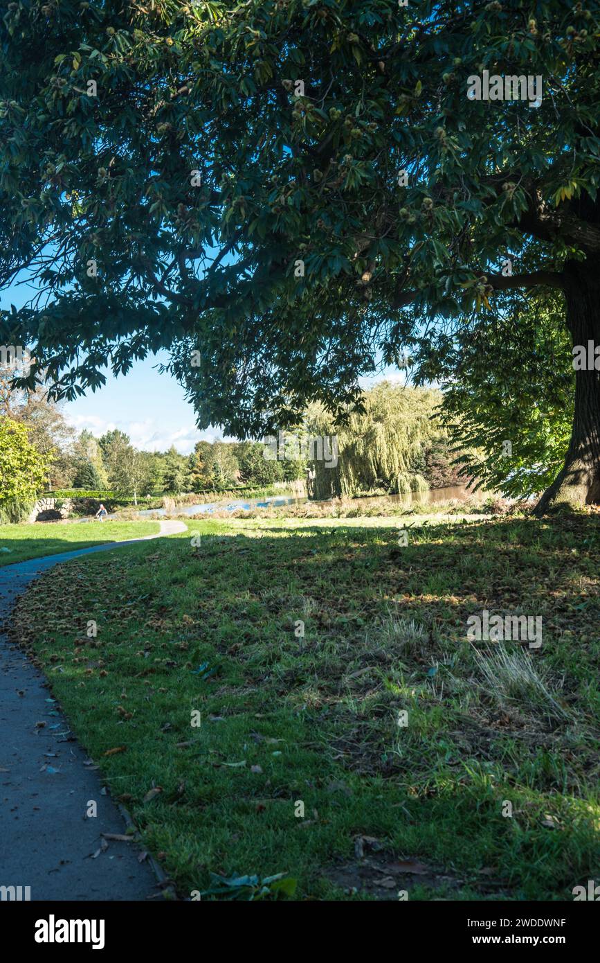 Minding nature hi-res stock photography and images - Alamy
