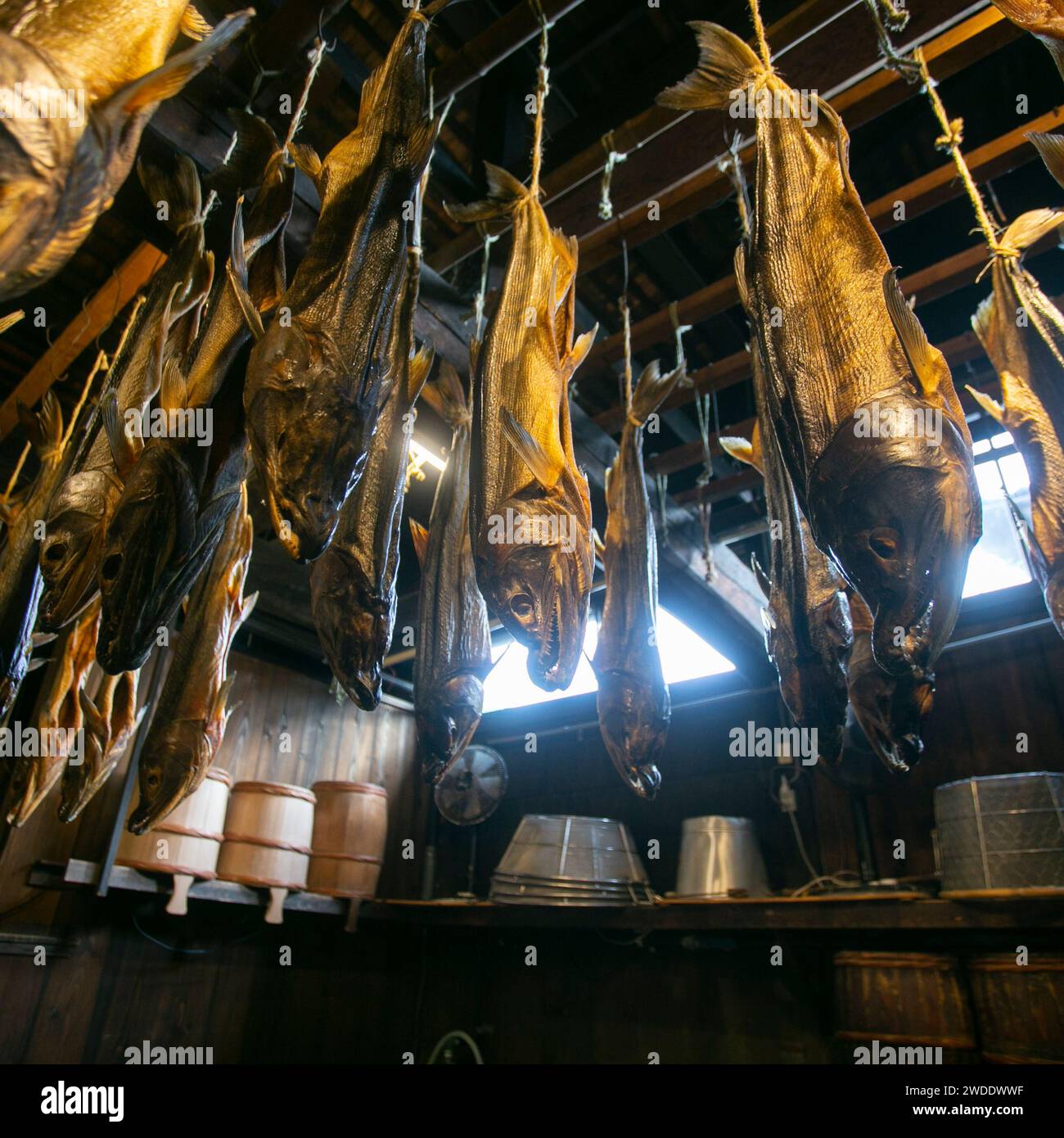 Hang drying salmon hi-res stock photography and images - Alamy
