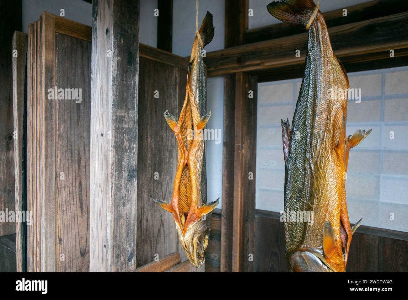 Traditional salted salmons hanging in the city of Murakami in Niigata ...