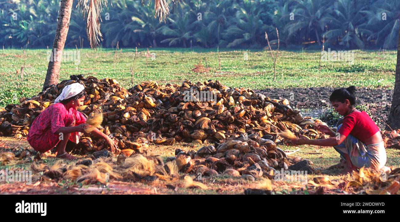 Coir production in India women sorting the fibre from the ten month ...