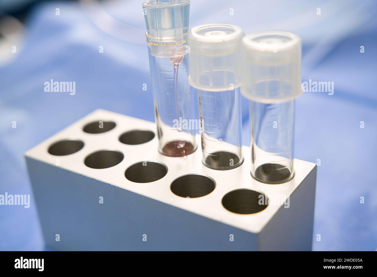 Embryo transfer fertilization hi-res stock photography and images - Alamy