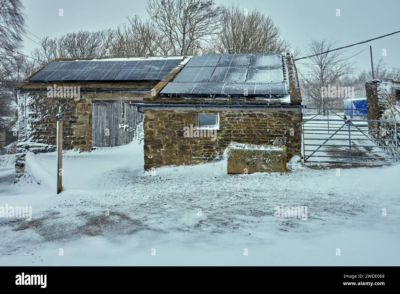 Solar panels struggle as sudden snowfall in blizzard conditions coats ...